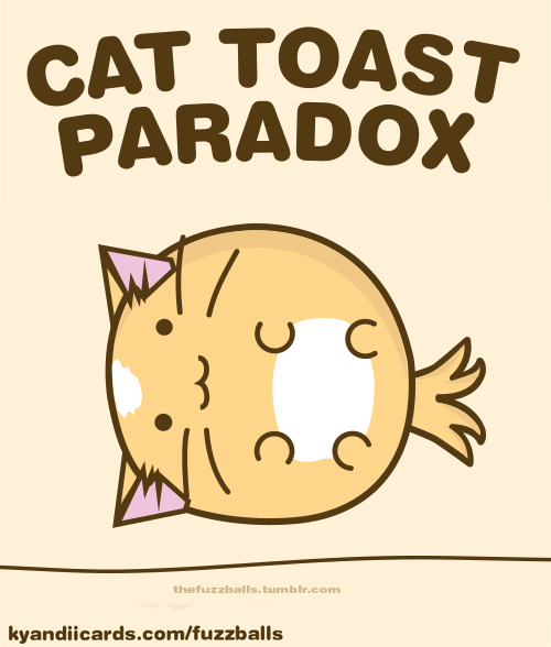 Cat Toast Paradox – Fuzzballs