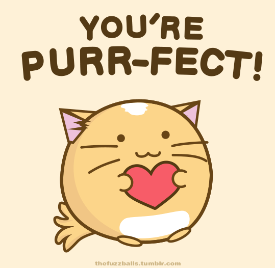 You're Purr-fect – Fuzzballs